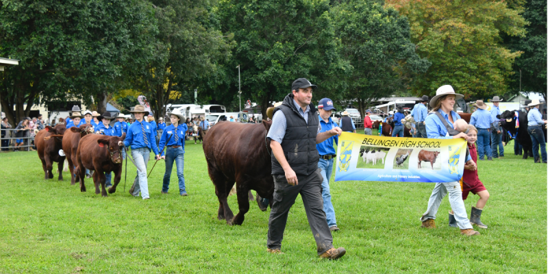 Bellingen Show returns with community at its heart - North Coast Times